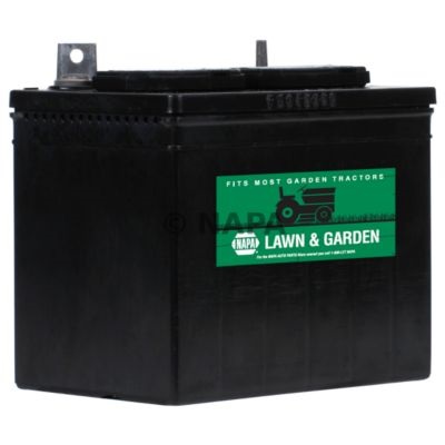 Napa 12 Volt Battery NAP8221 NAP8221 - Gas and Supply